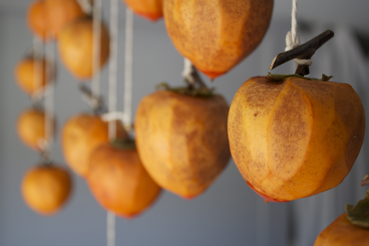 Dried Persimmon