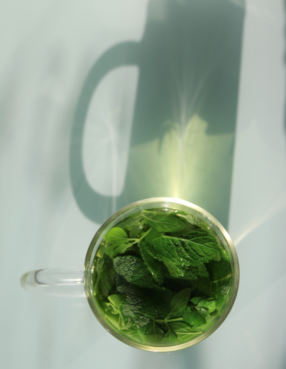 Herbal Tisane – DIY Basic